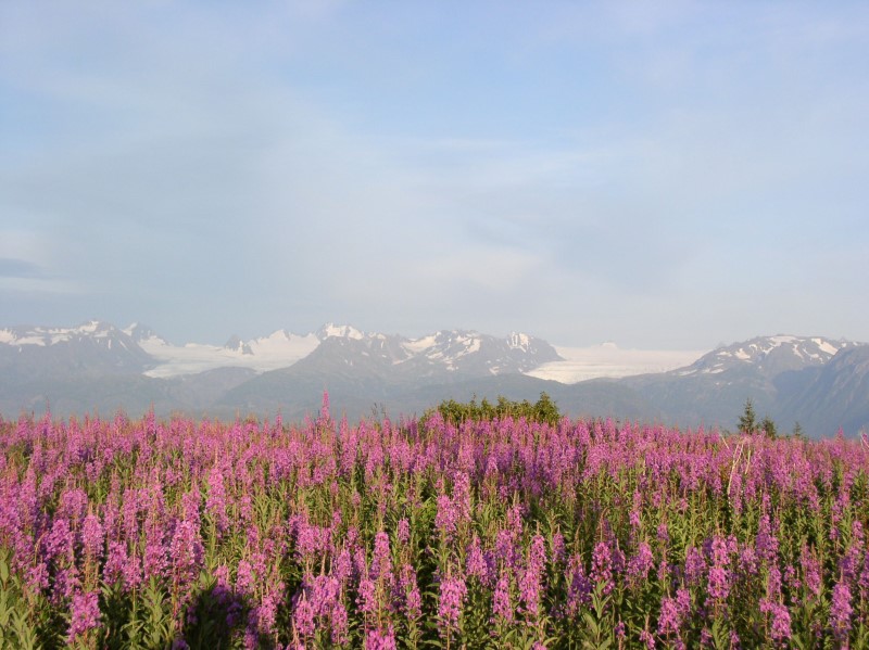 McNEIL CANYON WOODWORKS